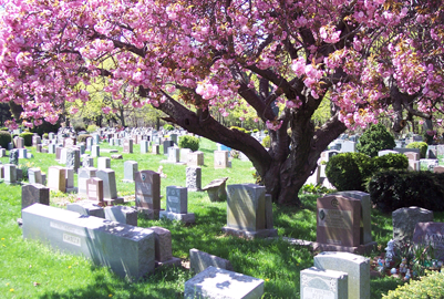 Bideawee Pet Cemetery | Cemeteries We Serve | St. Charles Monuments